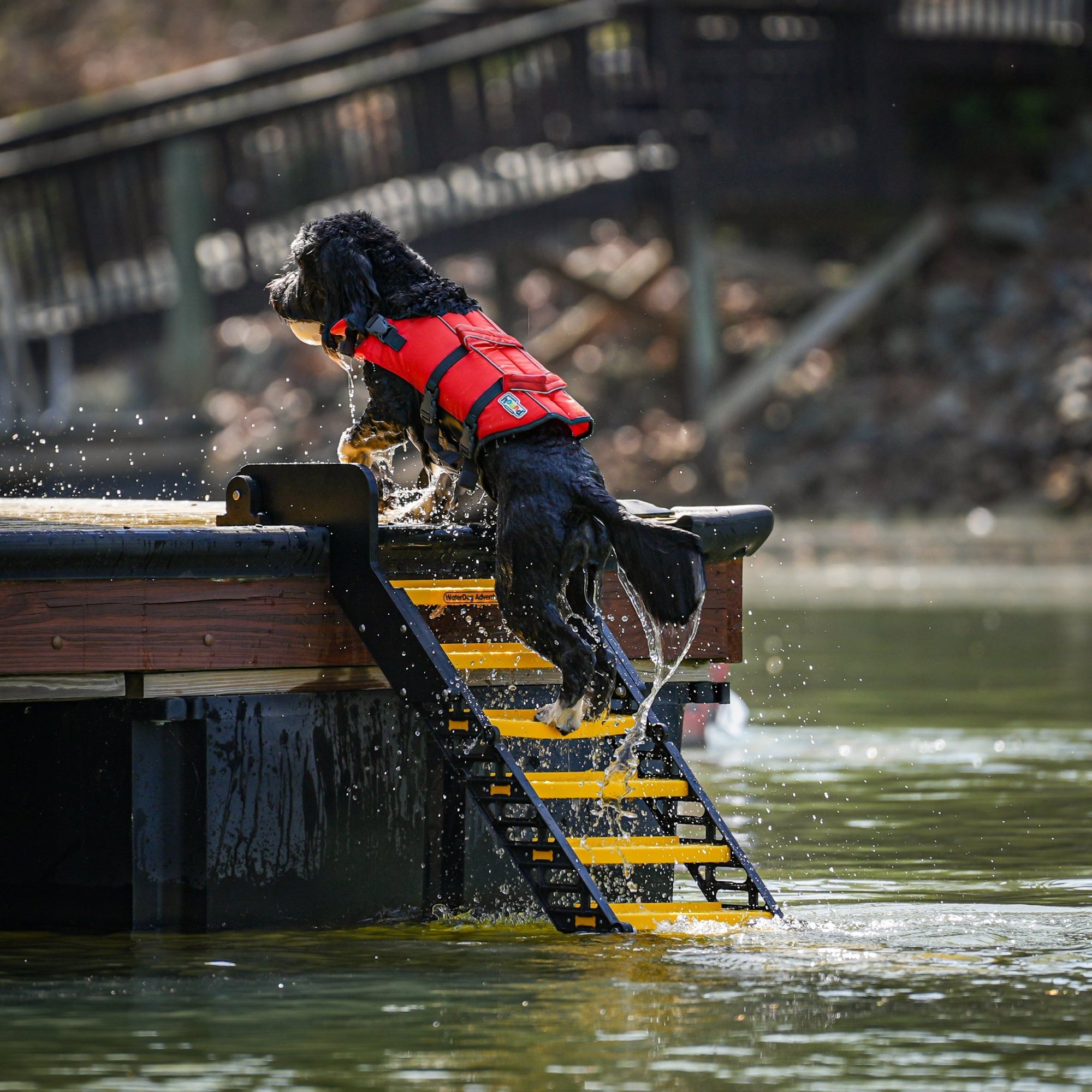 Dog Dock Ramp - Flip-Up Dog Ramp for Docks, Swim Platforms & Seawalls ...