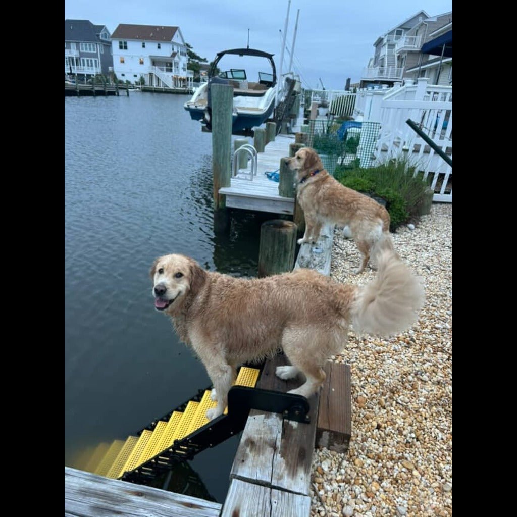 Dog Dock Ramp - Flip-Up Dog Ramp for Docks, Swim Platforms & Seawalls ...