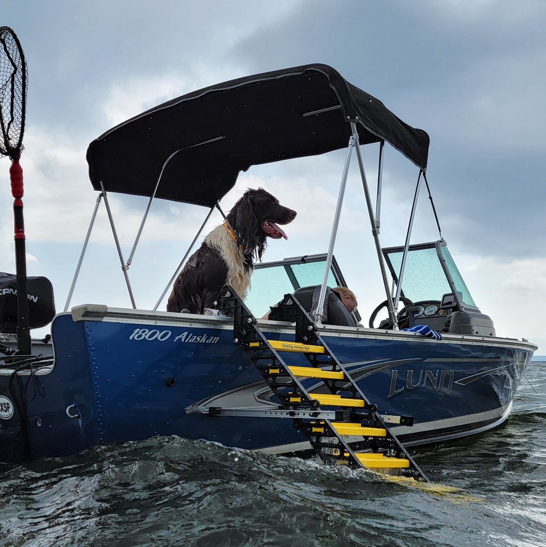 Dog Ramps for Water - Water Dog Adventure Gear