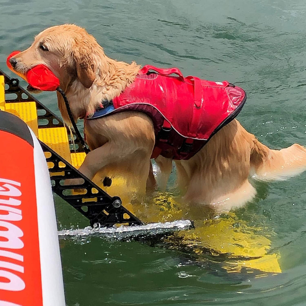 Dog Ramps for Boats, Pools & Docks