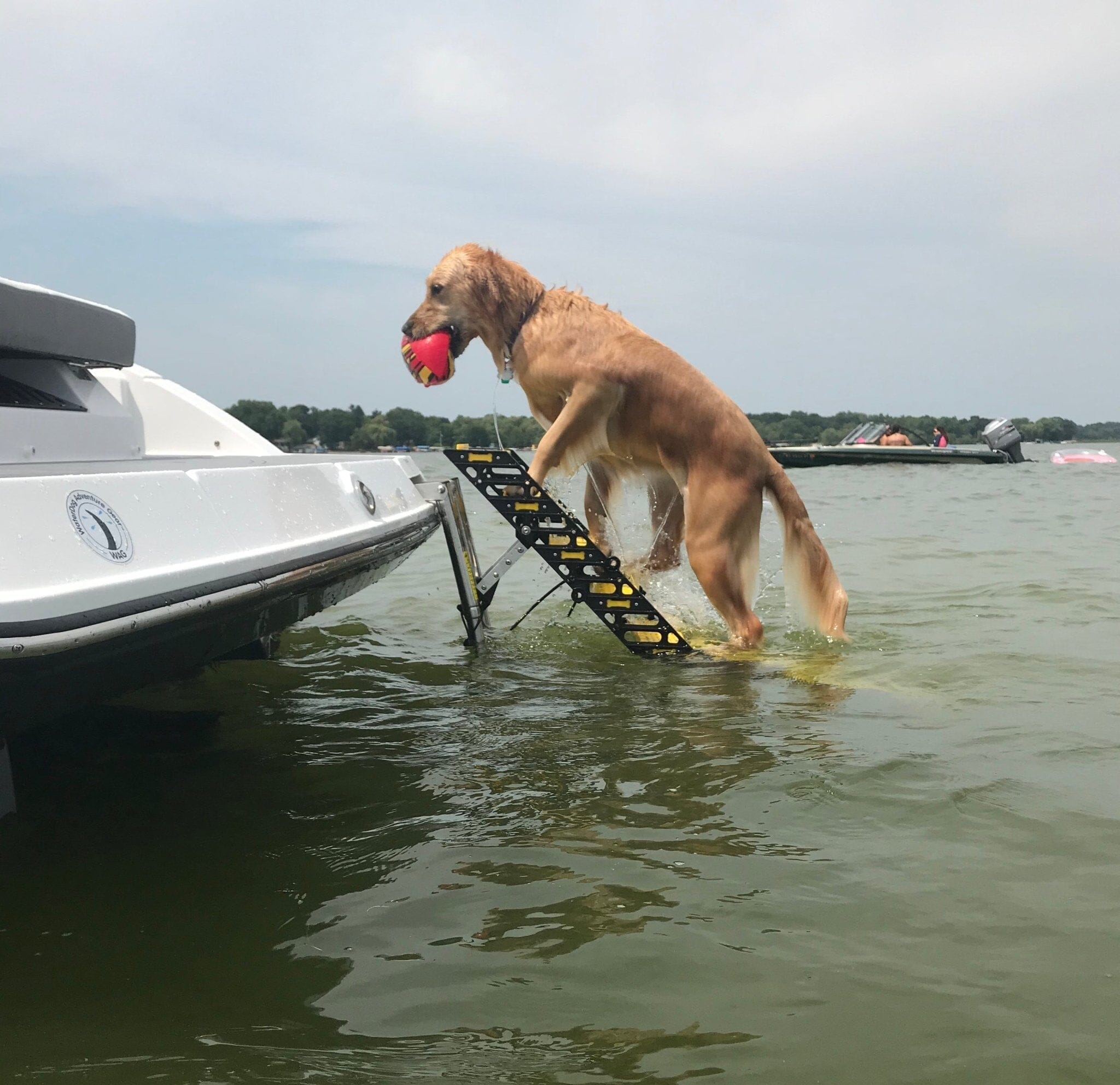 Fiberglass Boat Dog Ramp/Ladder - WaterDog Adventure Gear