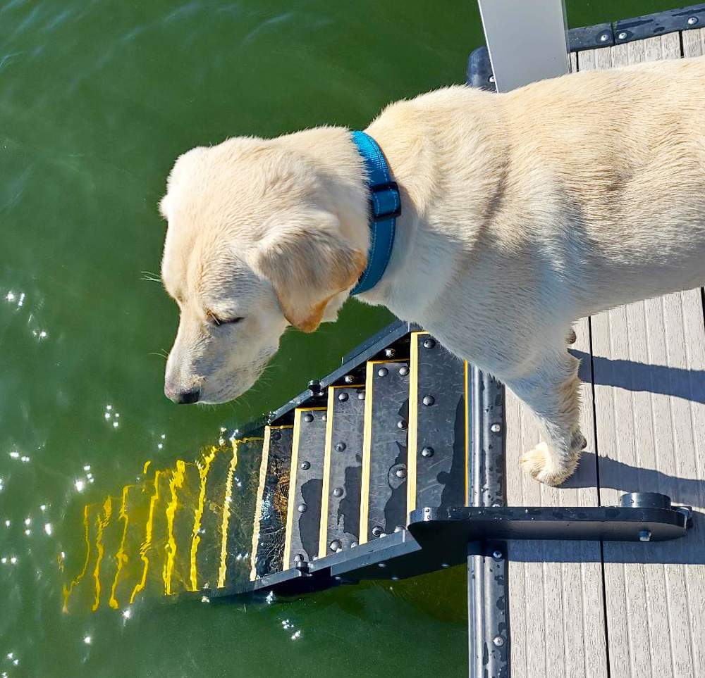 Dog Ramps for Water - Water Dog Adventure Gear